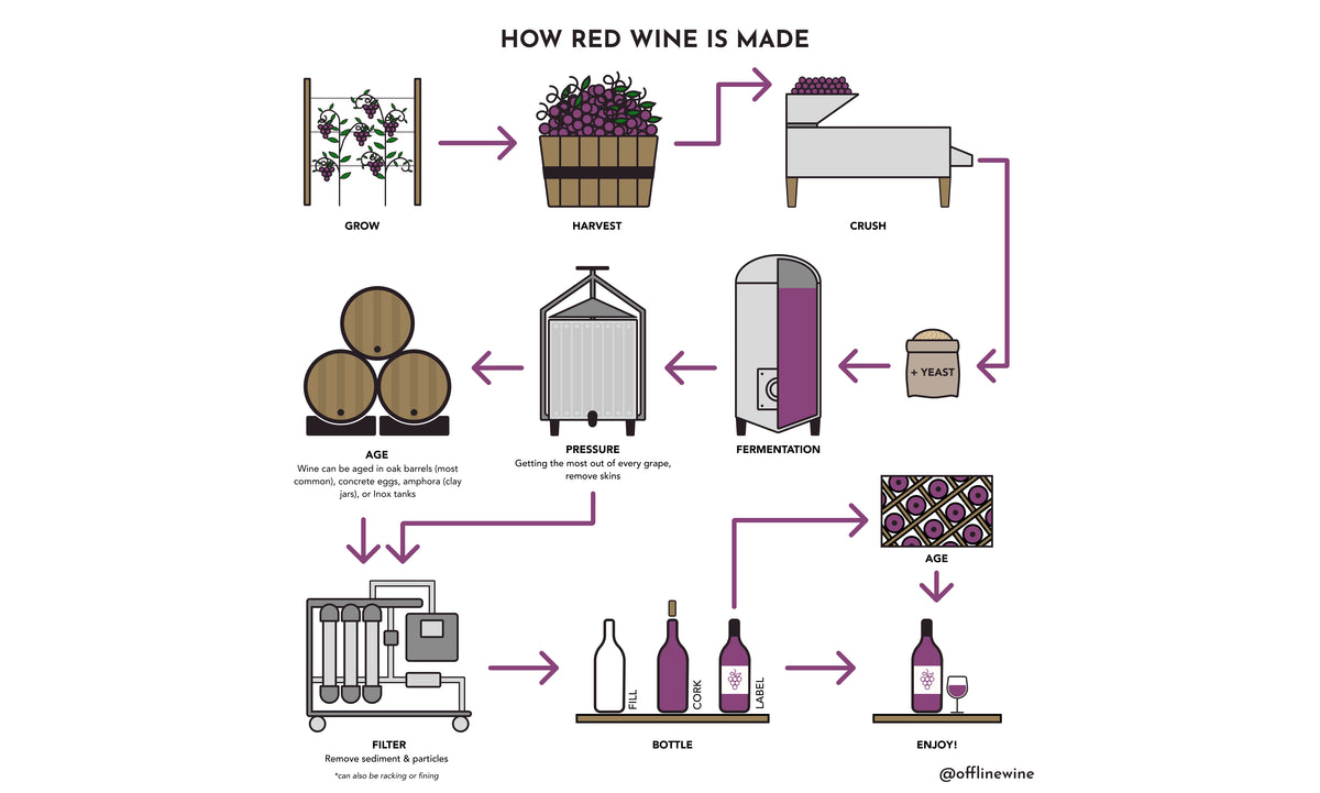 How Red Wine is Made - Vinat Wines – Offline Wine